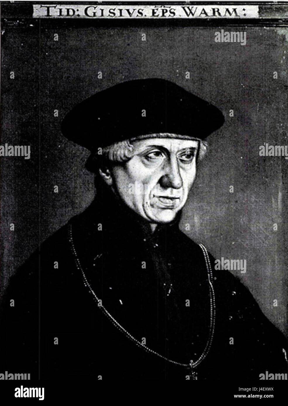 Tiedemann High Resolution Stock Photography and Images - Alamy