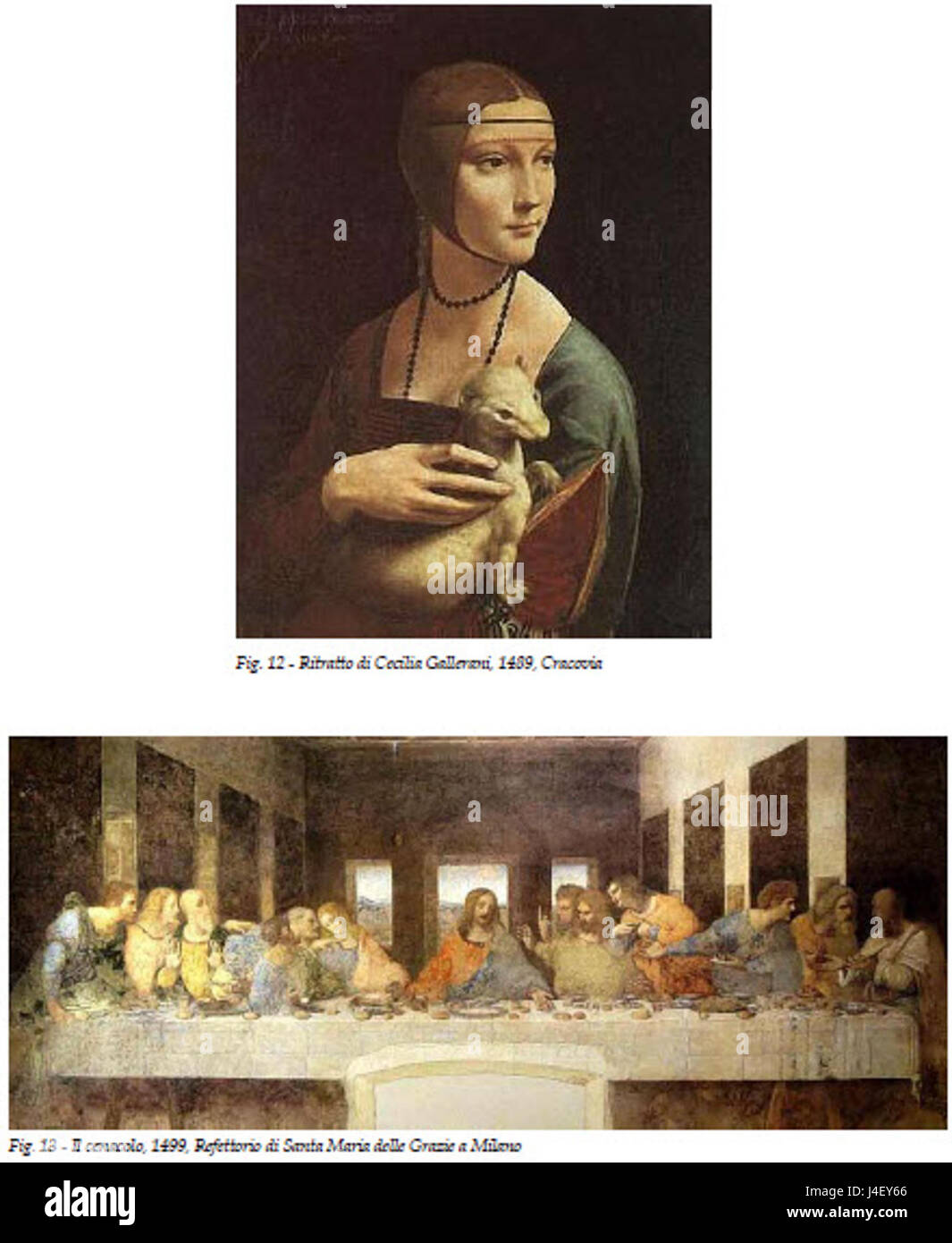 This image showcases one of Leonardo da Vinci's famous works, the ...