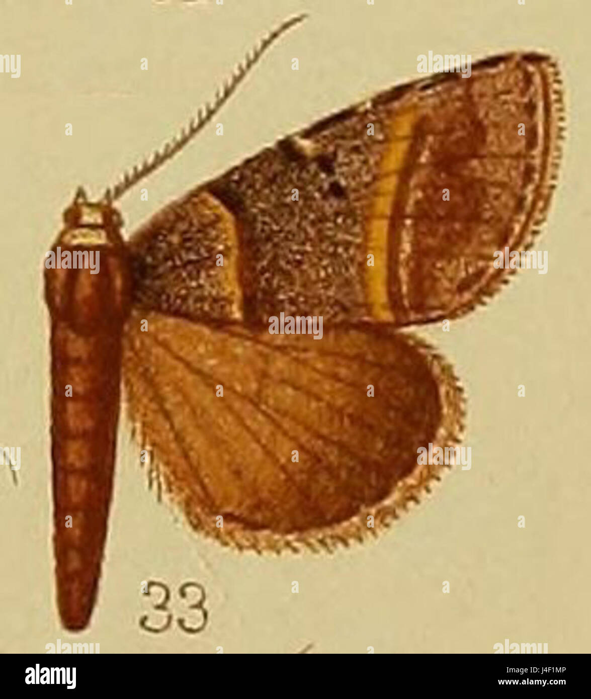 33 37 hi-res stock photography and images - Alamy