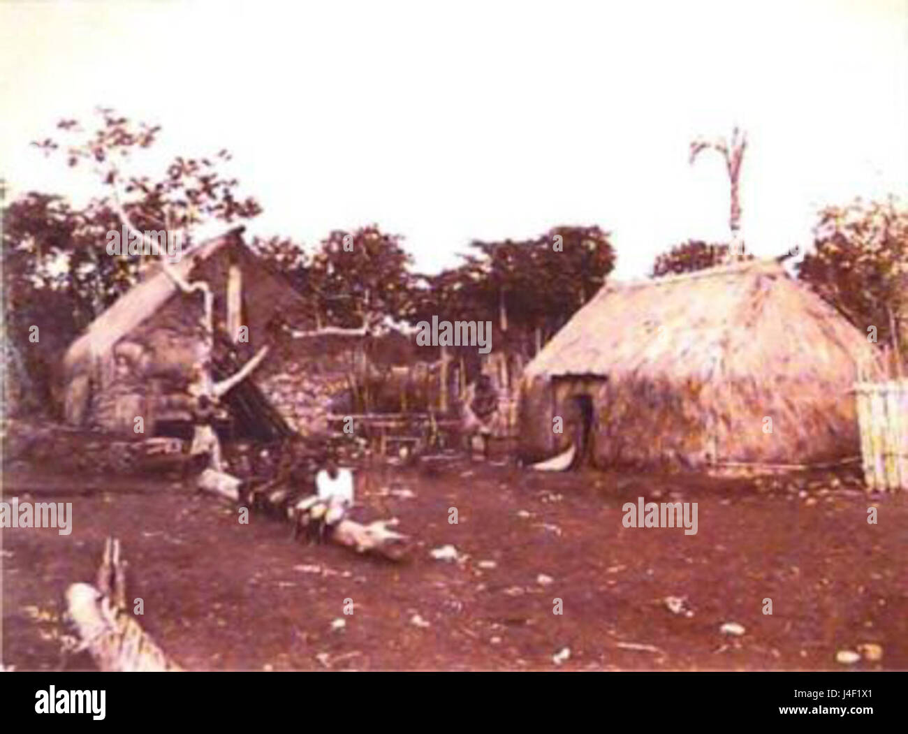 Bau is a small island in Fiji, historically significant as a cultural ...