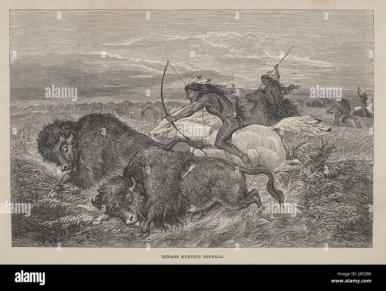 The Dodge buffalo refers to a model of a historical vehicle, often ...