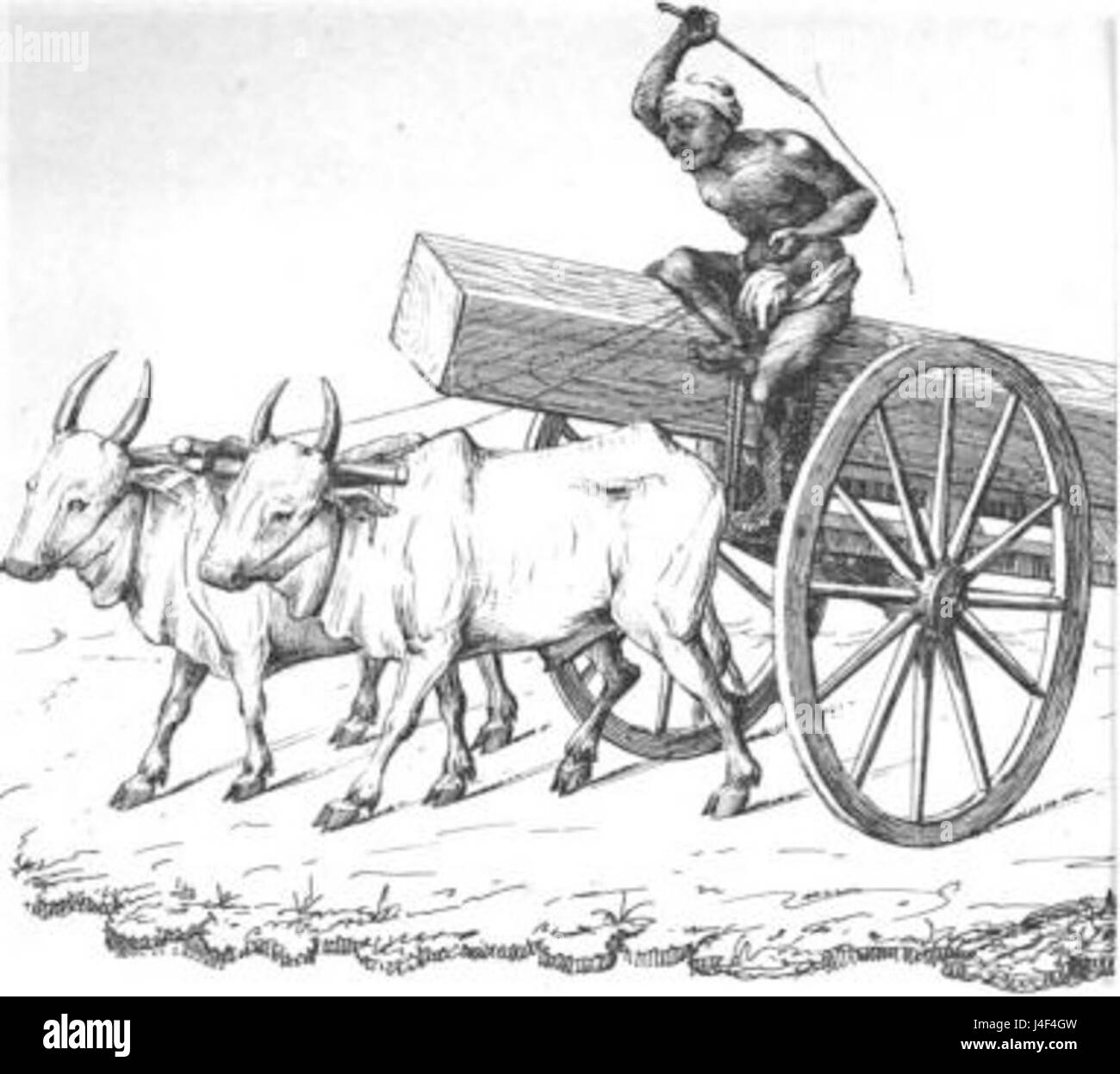 Ox, cart, vintage photo hi-res stock photography and images - Alamy