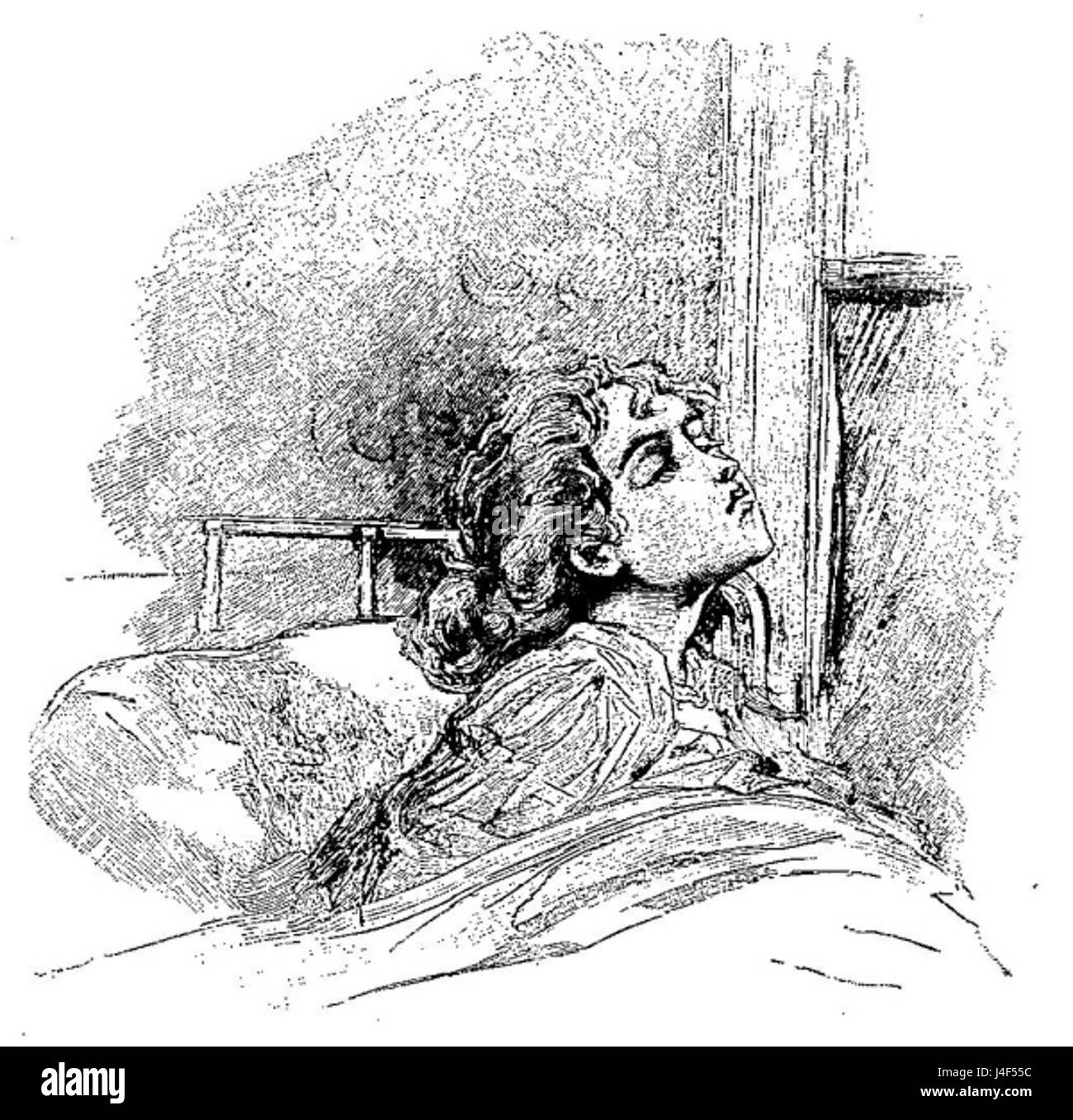 'Malot En famille' is a work from 1893 by Hector Malot, a French author ...