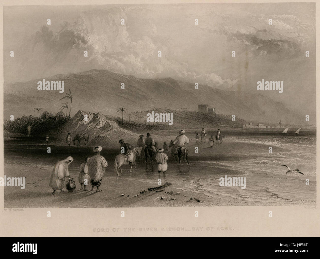 The river kishon hi-res stock photography and images - Alamy