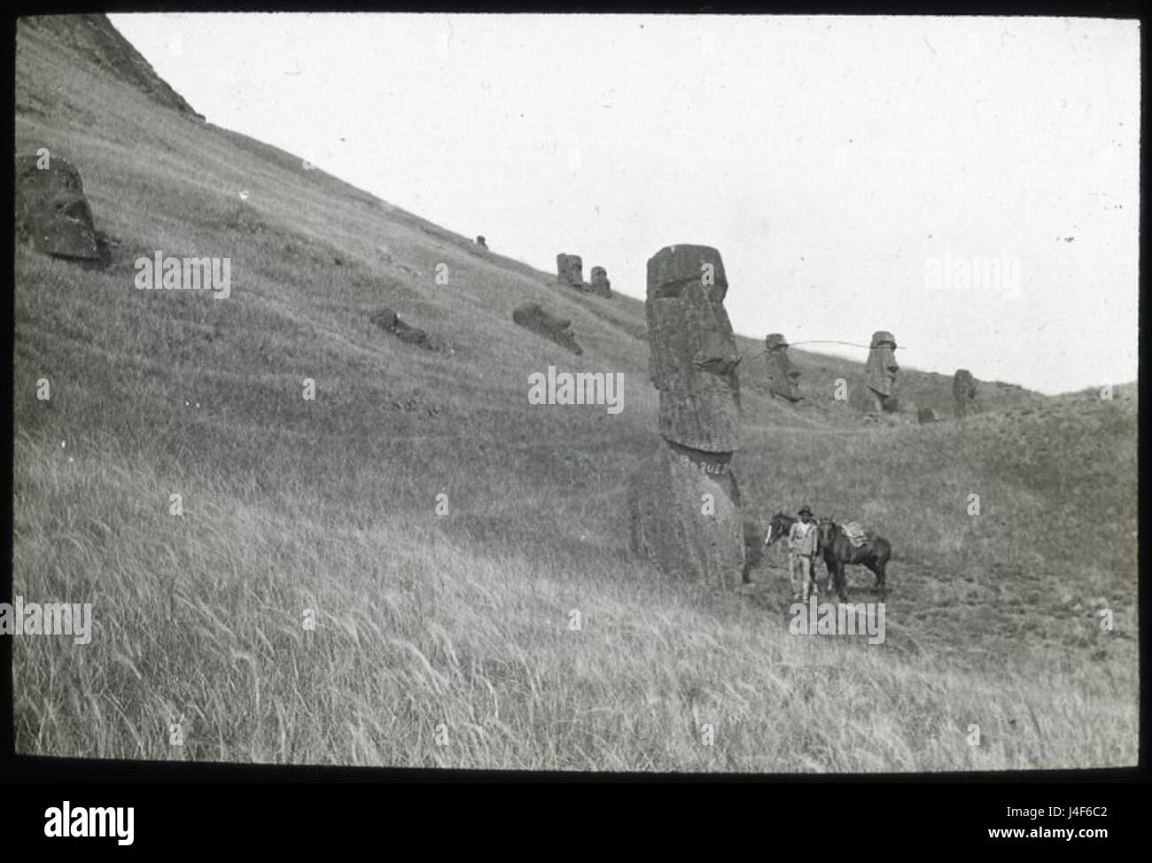 This title refers to the Mana Expedition to Easter Island, cataloged ...