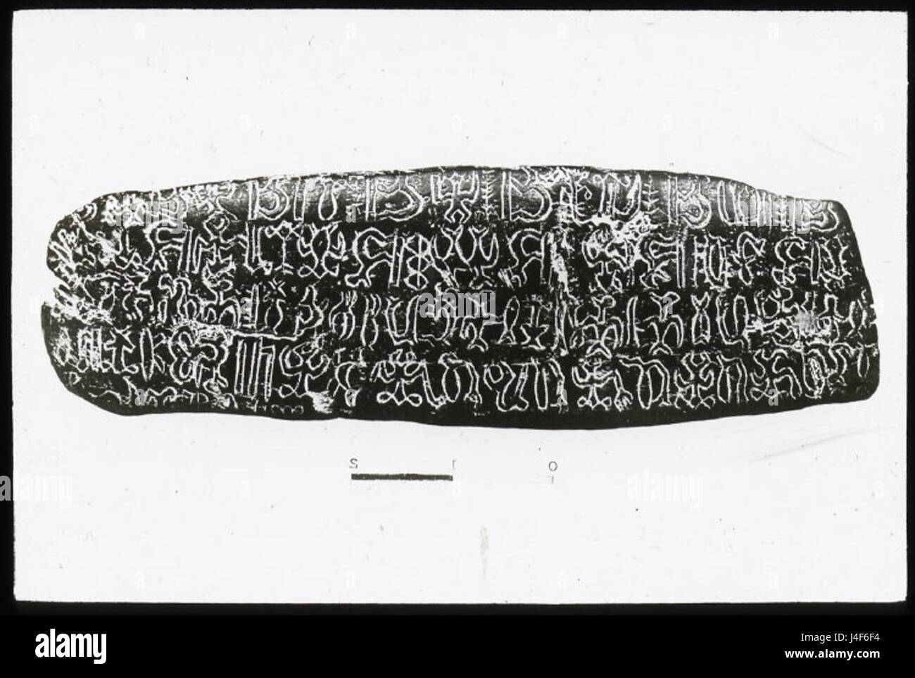 A Rongorongo board in black and white glyphs. Oc G.T.1733 Mana ...