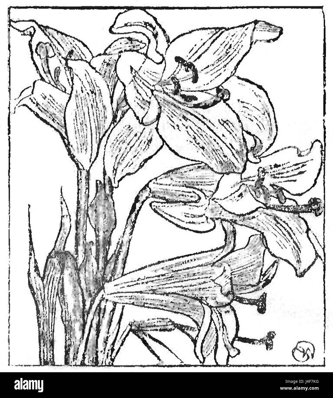 Lucjan rydel hi-res stock photography and images - Alamy