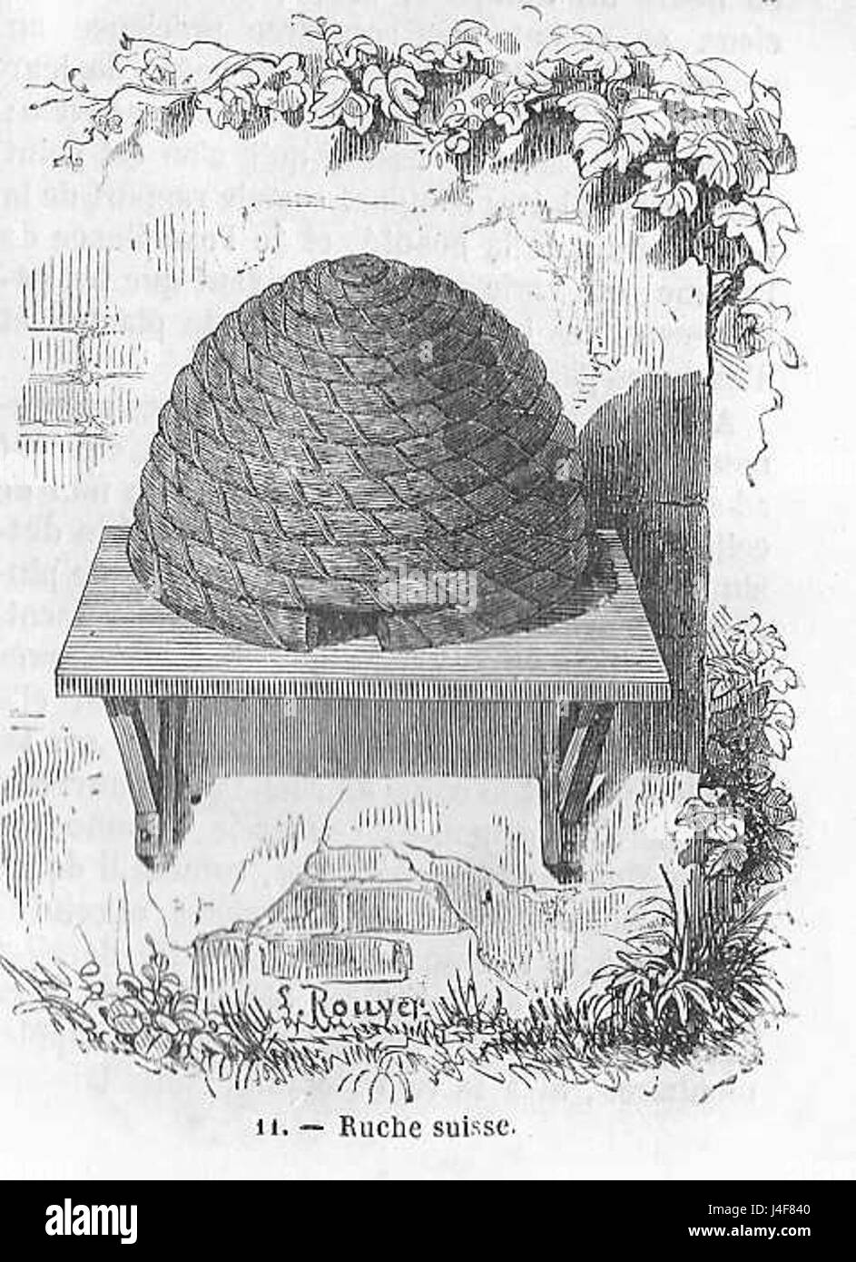 Unique variety Black and White Stock Photos & Images - Alamy