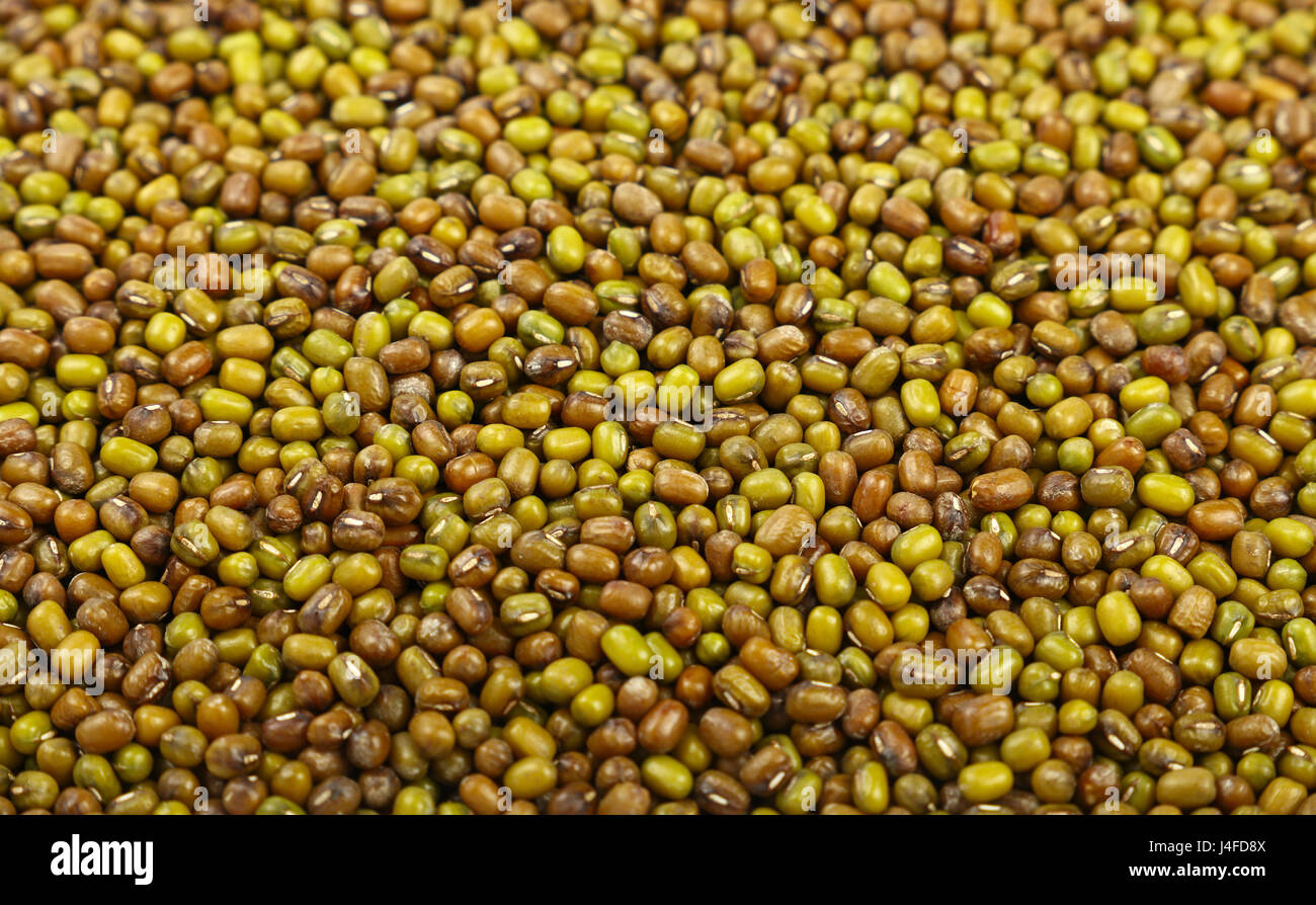 Green and brown dried Asian traditional mung (moong) gram beans ...
