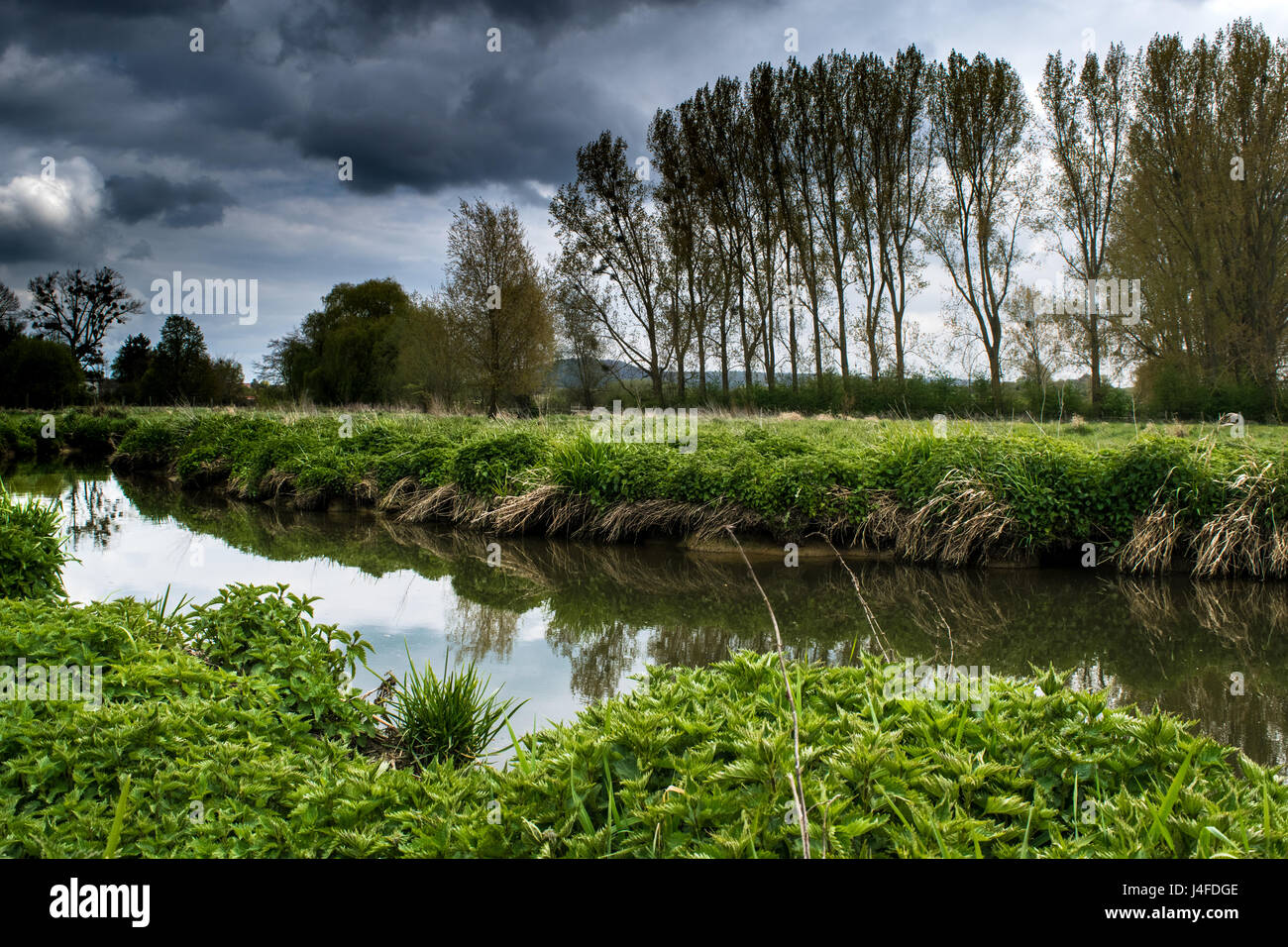 Still river with trees and clouds in background Stock Photo - Alamy