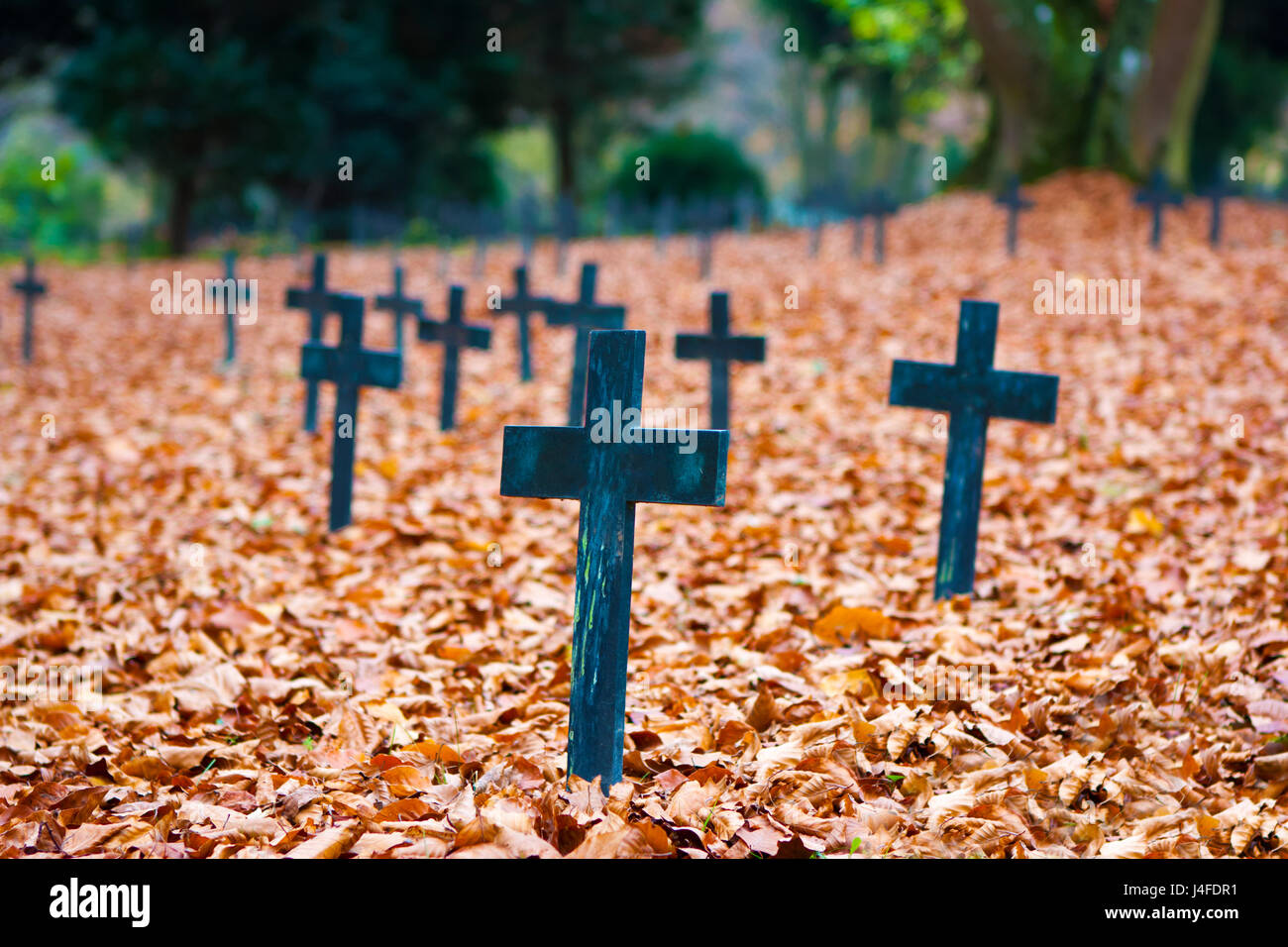 Cemetery in autumn colors in Ulm, Germany Stock Photo - Alamy