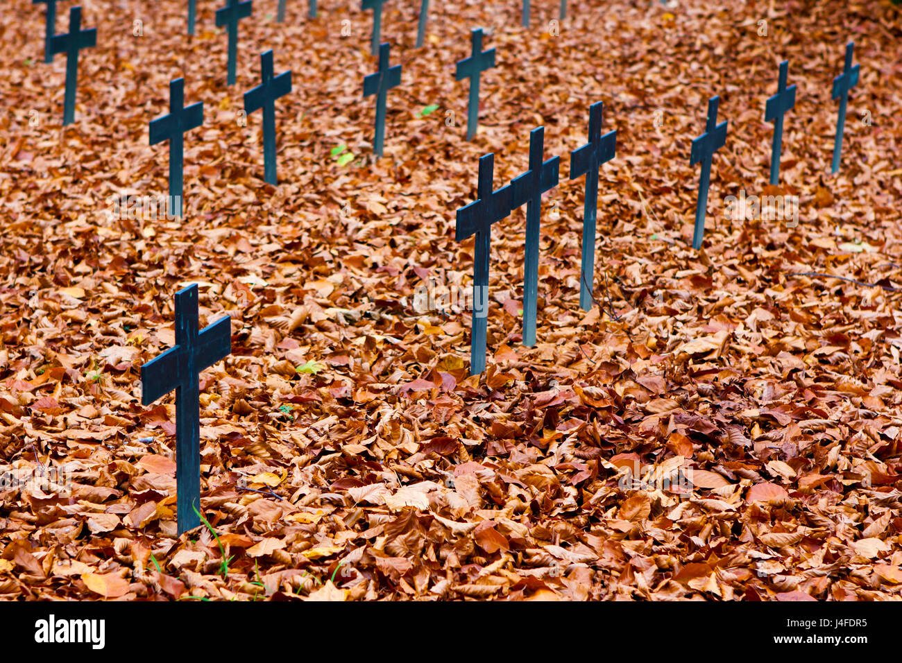 Cemetery in autumn colors in Ulm, Germany Stock Photo - Alamy