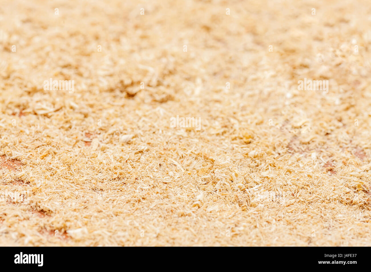 Thin Wood sawdust texture material background closeup Stock Photo - Alamy