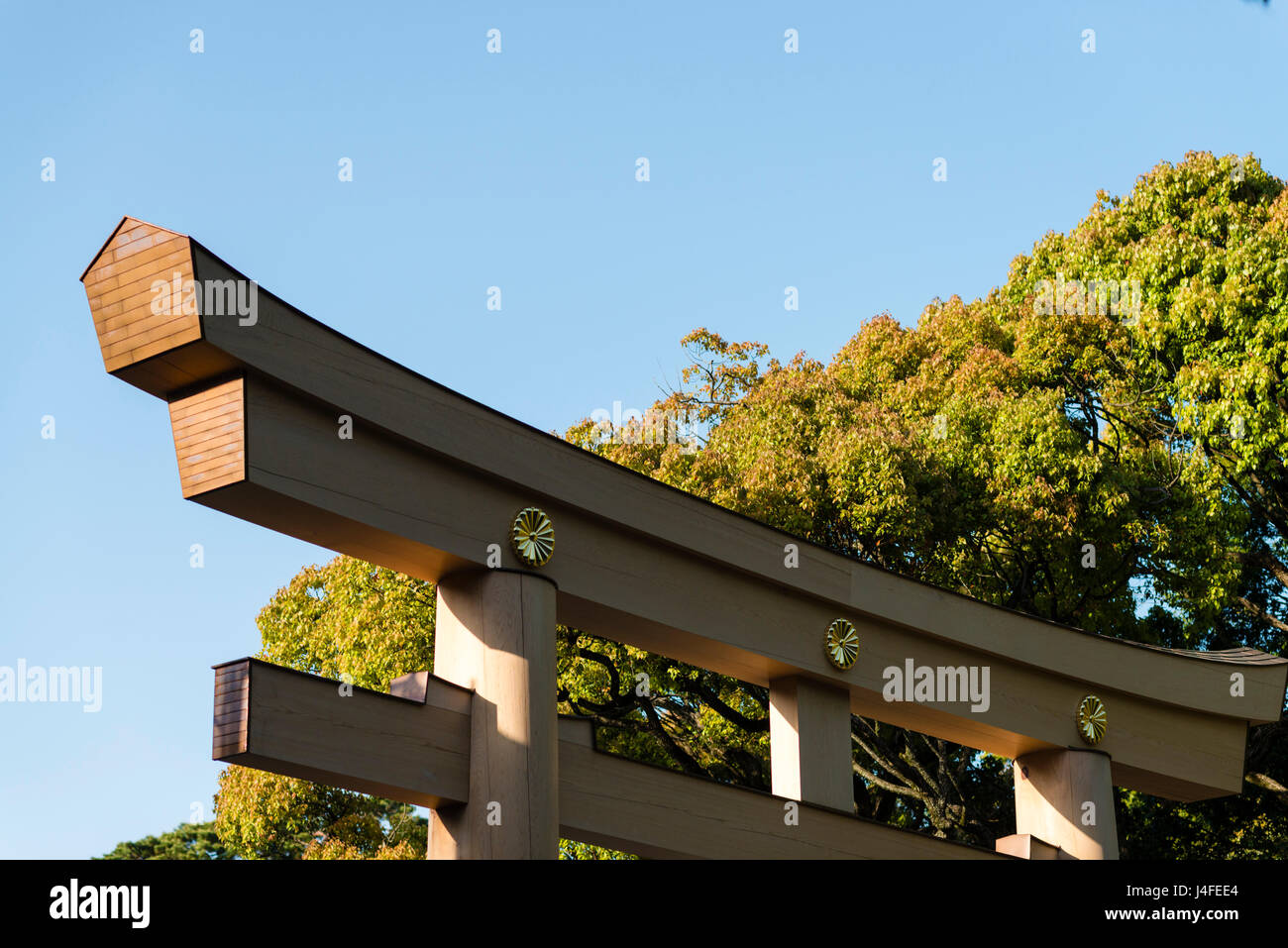 Torii gate in yoyogi hi-res stock photography and images - Alamy