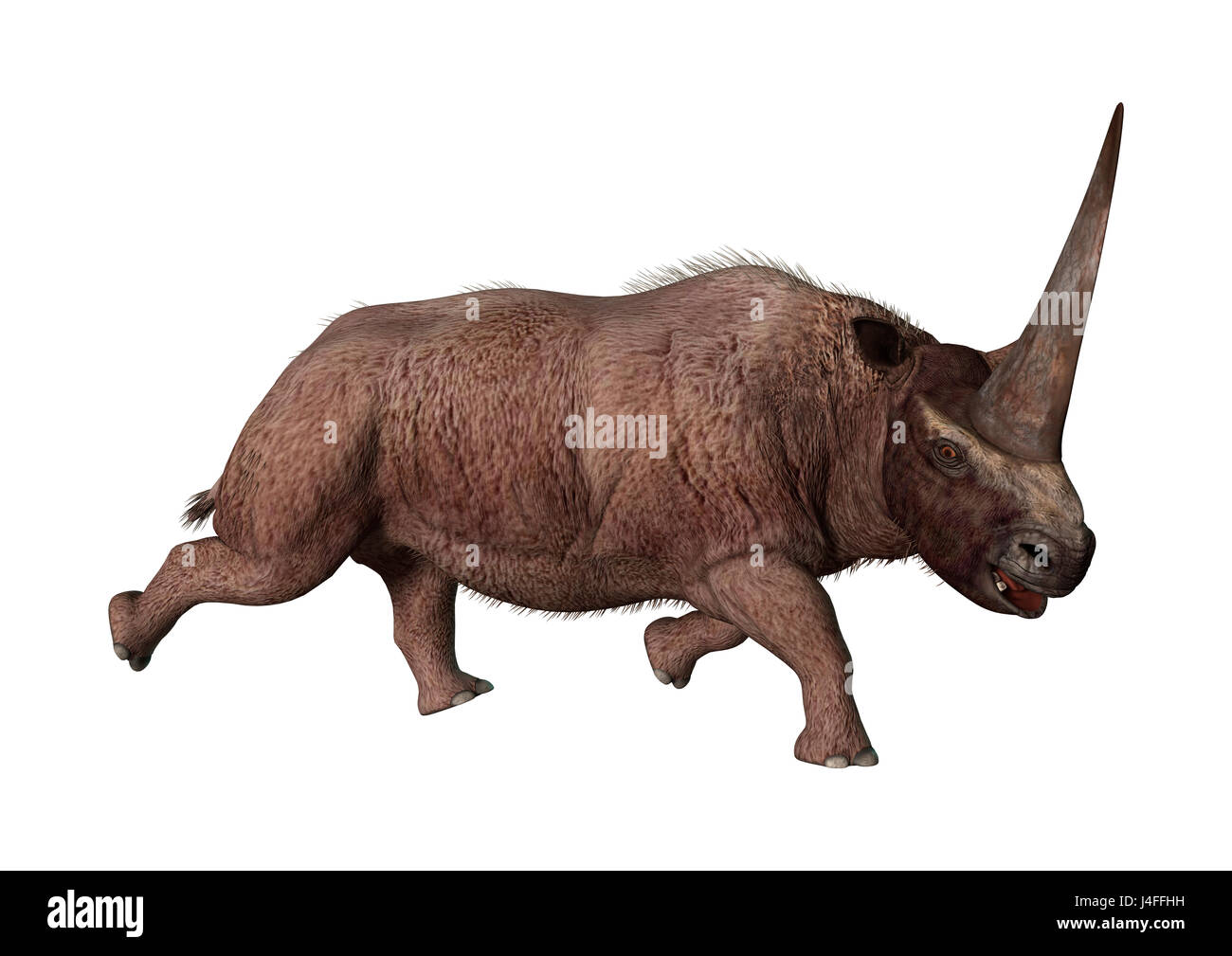 Woolly Rhino Vs Elasmotherium