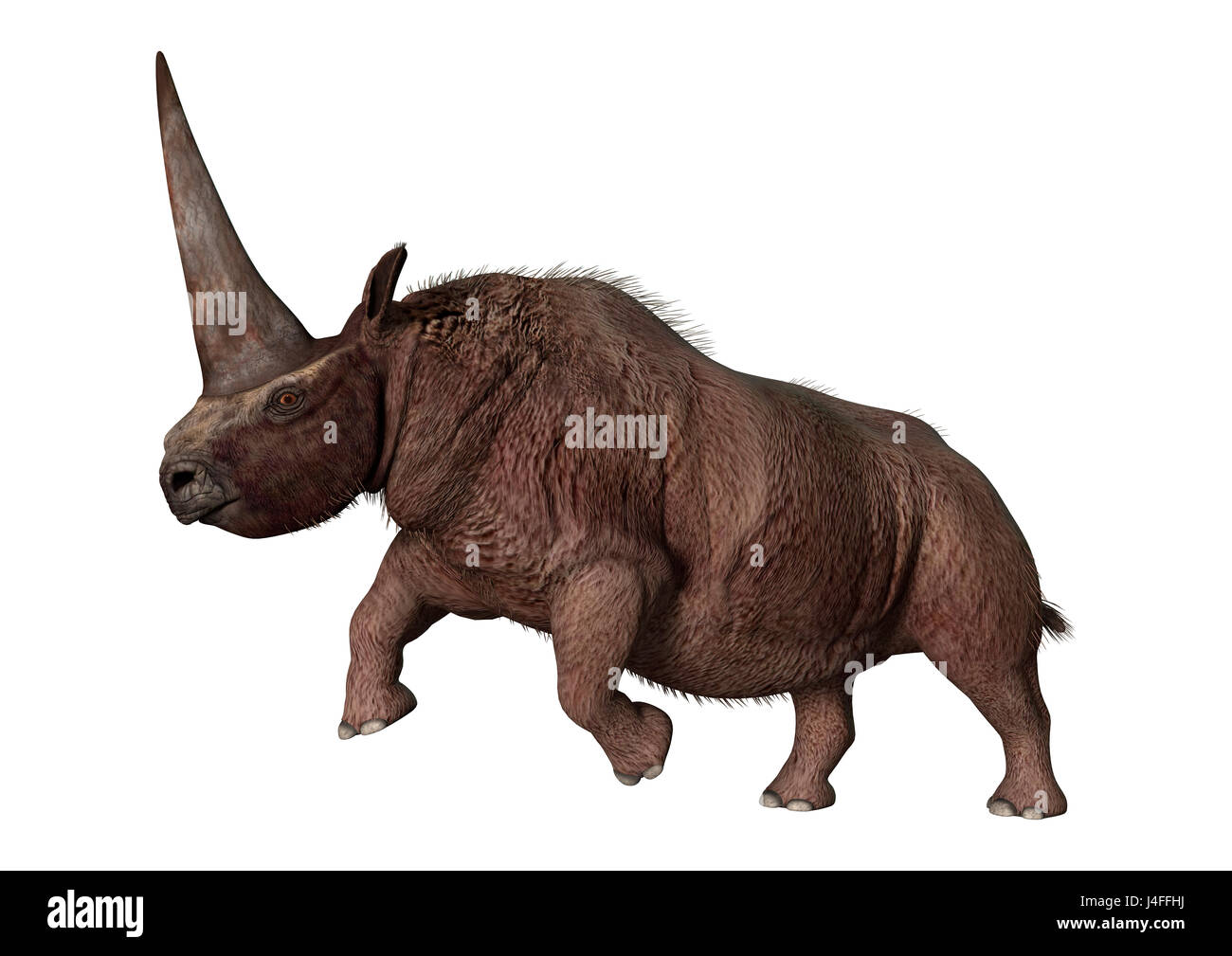 Elasmotherium hi-res stock photography and images - Alamy