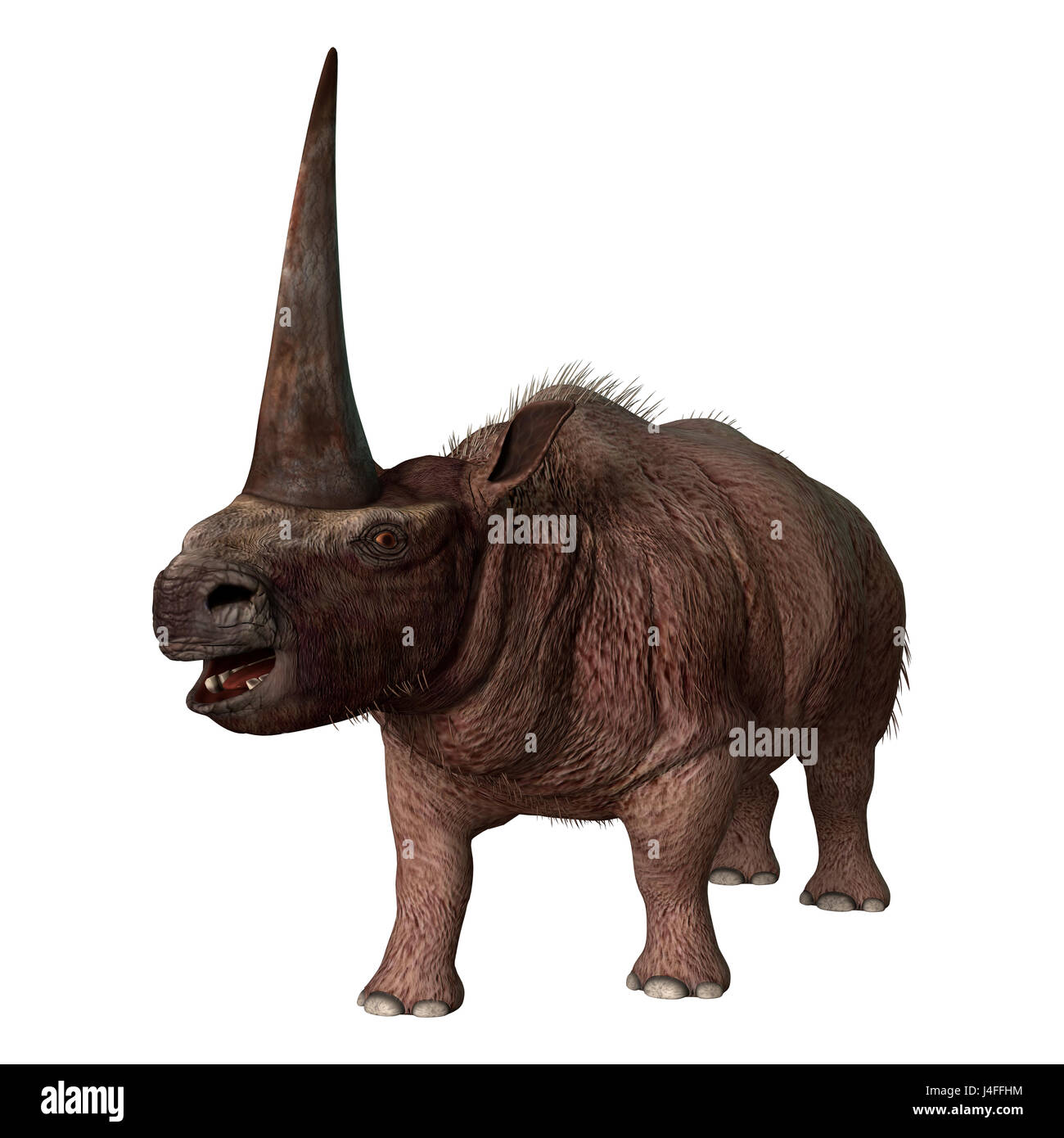 Elasmotherium hi-res stock photography and images - Alamy