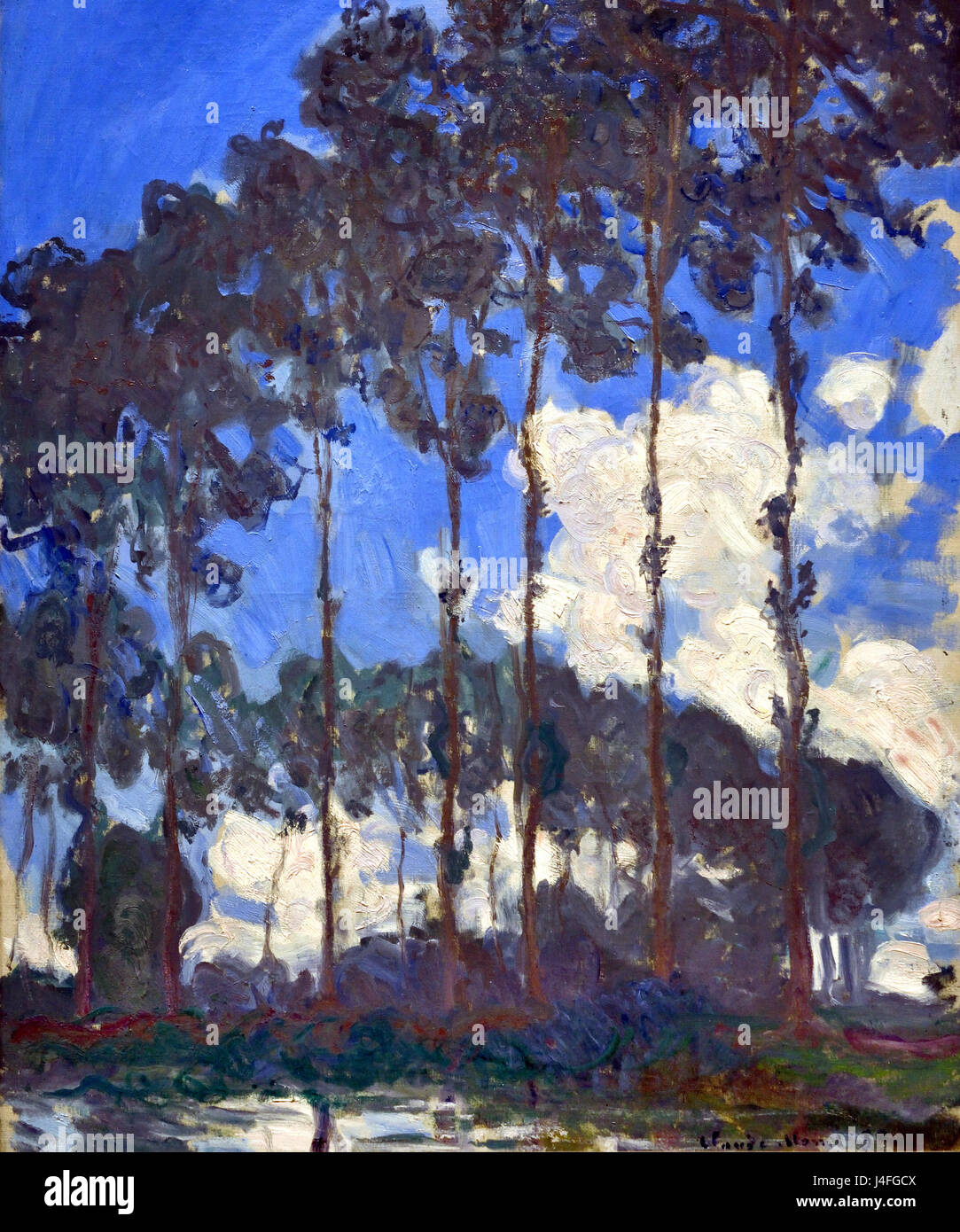 Poplars on the epte 1891 claude monet hi-res stock photography and ...