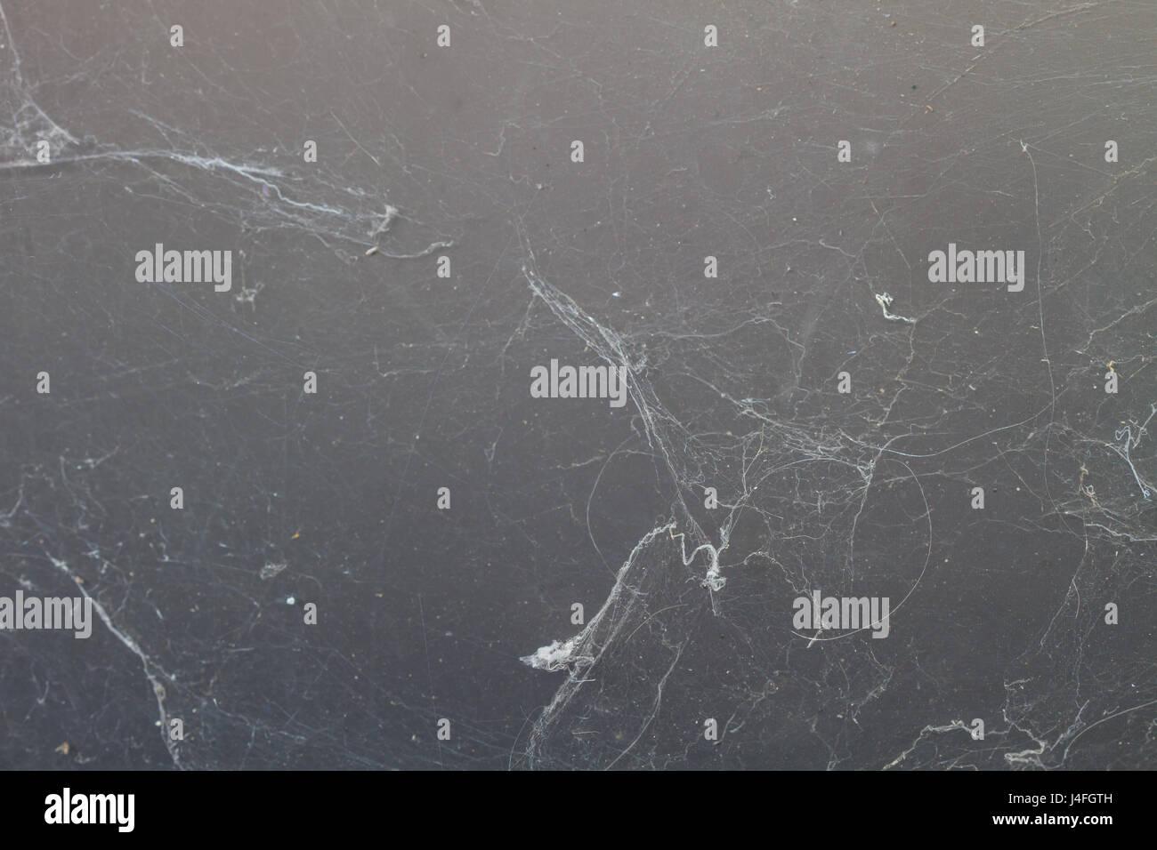 Cobweb computer hi-res stock photography and images - Alamy