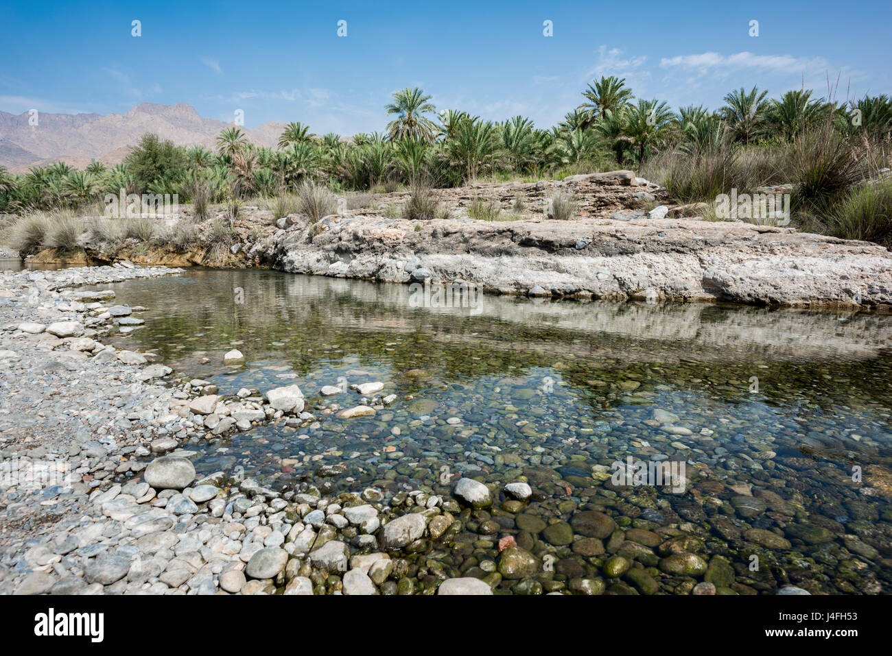 Palm groove near a river and mountain, Sultanate of Oman, Al Mazari ...