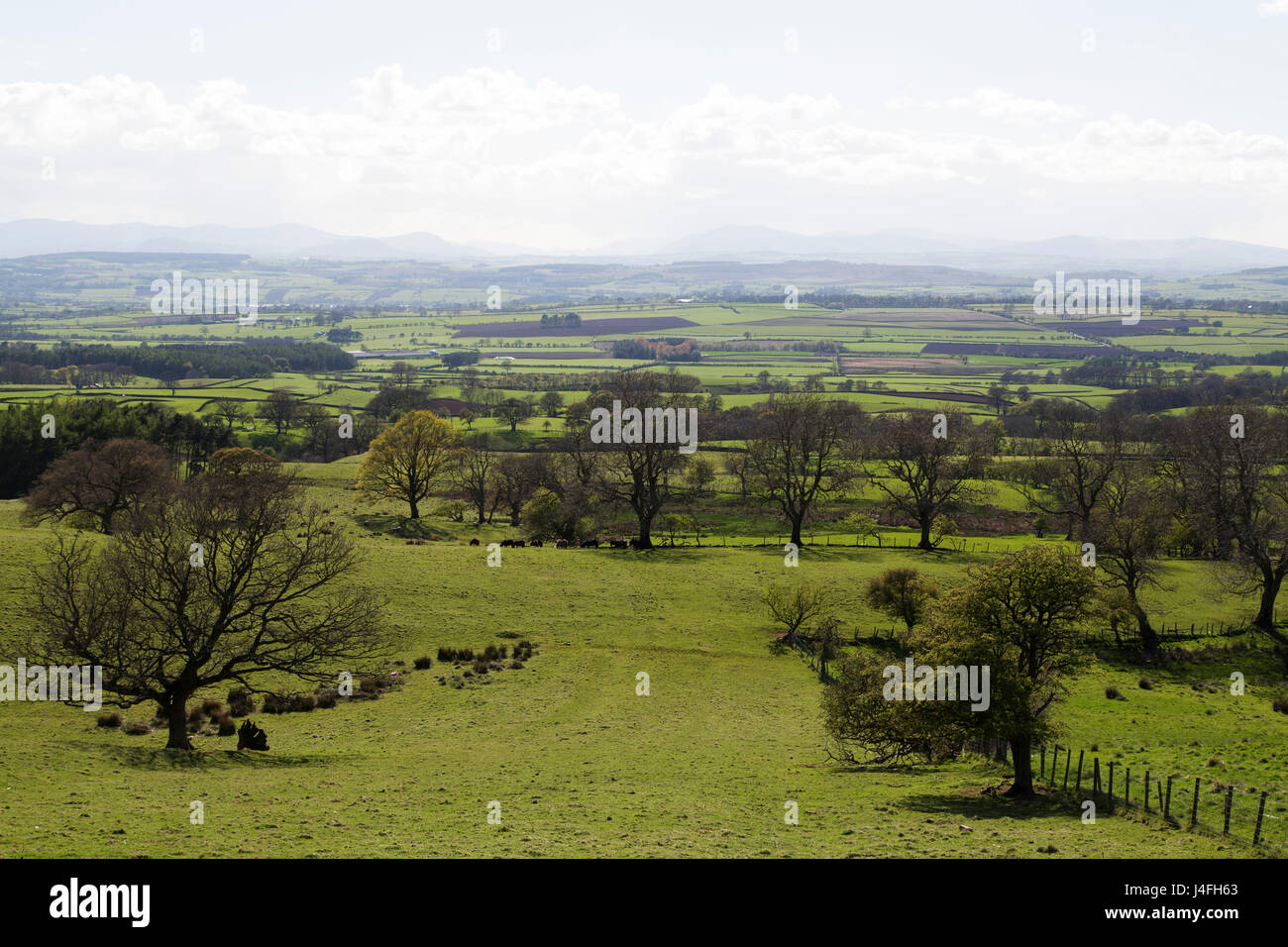 Countryside seen from Hartside Pass in Cumbria, England. Hartside Pass ...