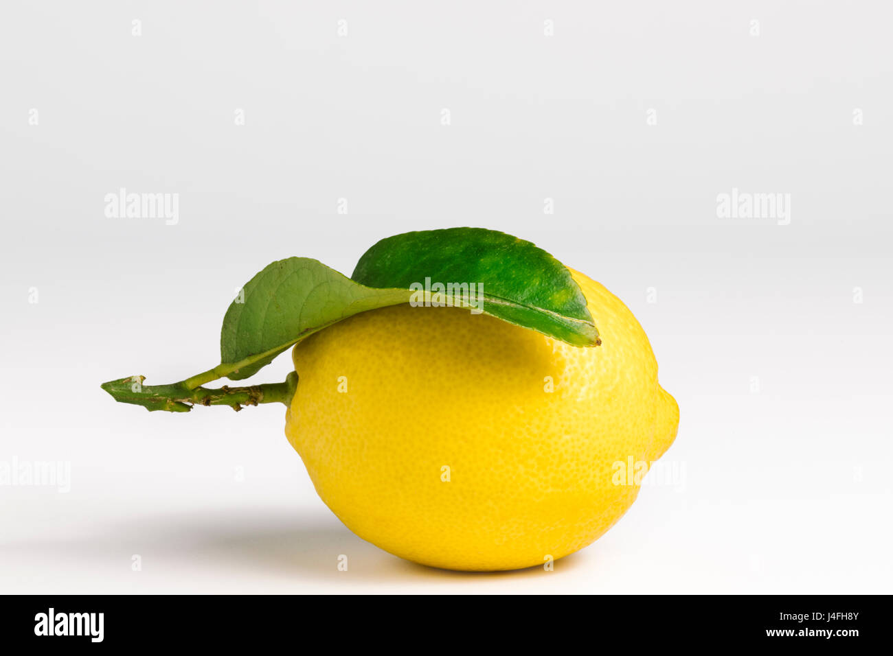 Single whole lemon with leaf on white background Stock Photo - Alamy
