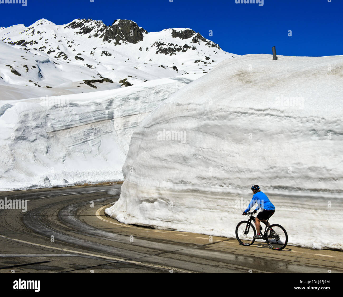 Biker riding between high snow walls on the pass road across the St ...