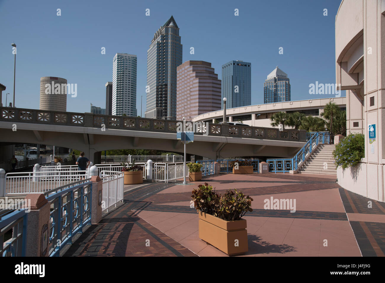 The highrise buildings of downtown Tampa Florida USA and the Tampa ...