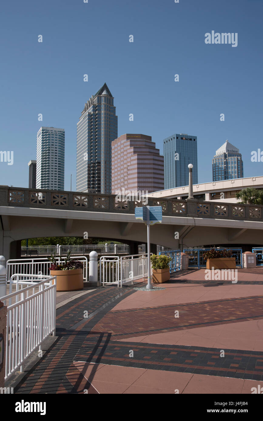 The highrise buildings of downtown Tampa Florida USA and the Tampa ...
