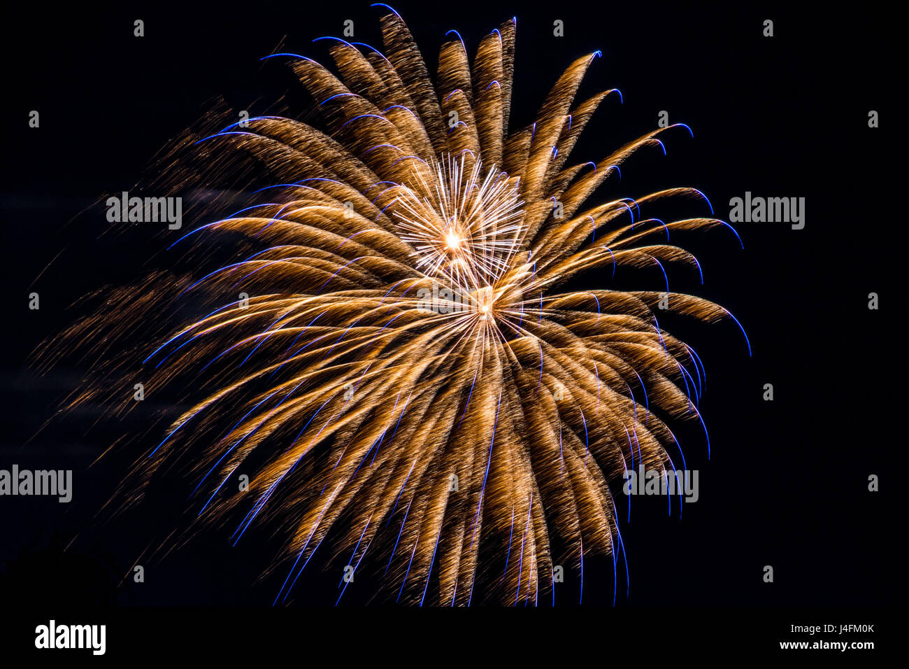 Firework fireworks celebration blue spikes gold white blasts Stock ...