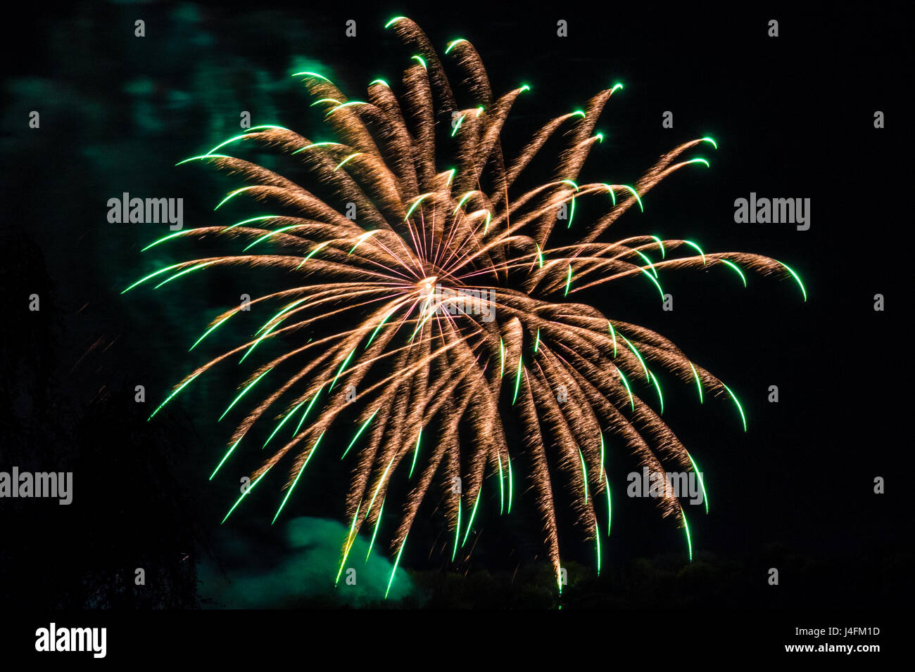 Firework fireworks celebration gold with green peaks Stock Photo - Alamy