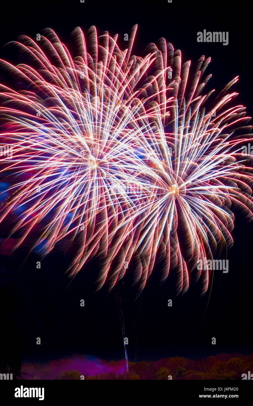 Firework fireworks celebration red blue white tails Stock Photo - Alamy