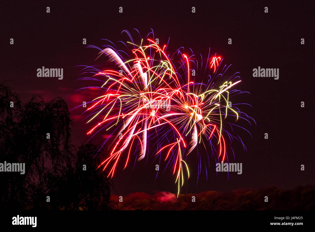 Firework fireworks celebration red purple orange blasts Stock Photo - Alamy
