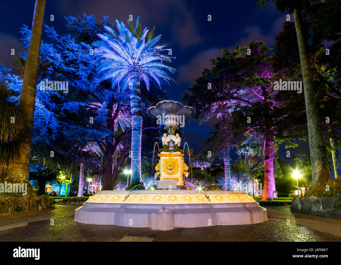 Napier city Clive Square garden is full of color at night Stock Photo ...