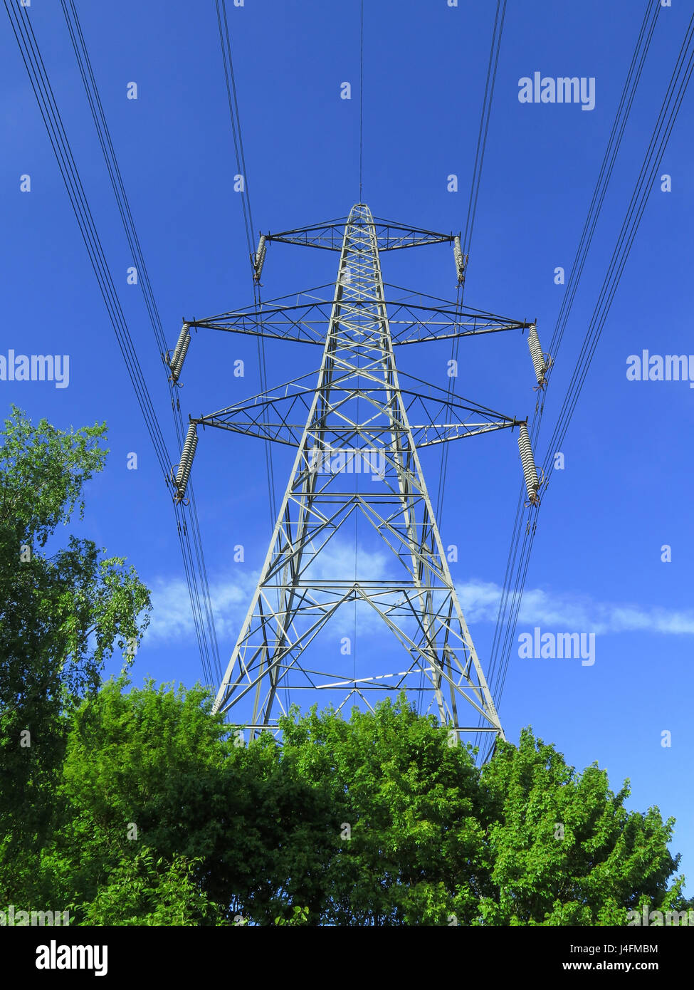 Giant electricity pylon looms over woodland, Nr Hitchin, Hertfordshire ...