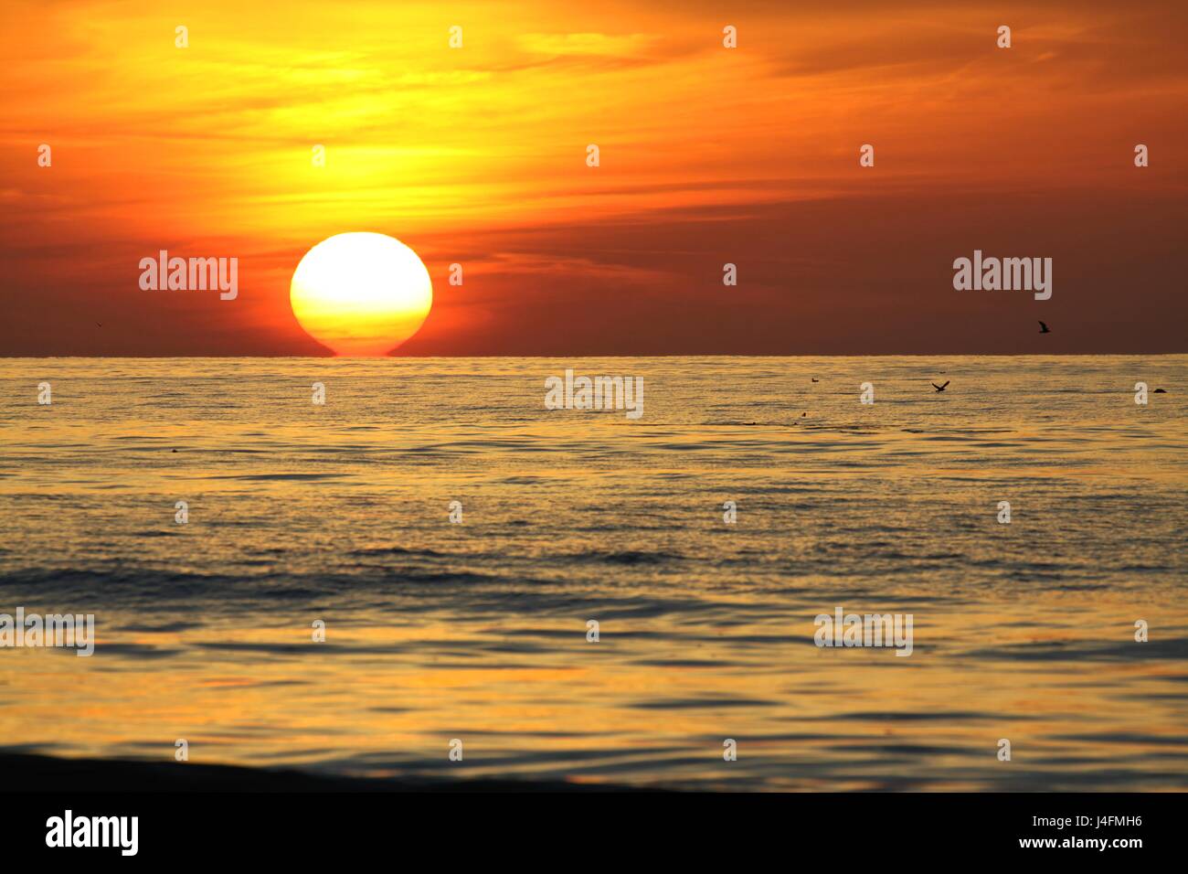 sun sinking into the sea Stock Photo - Alamy