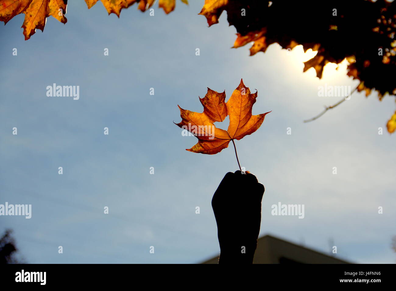 Let the rays of positivity pass through your heart Stock Photo - Alamy