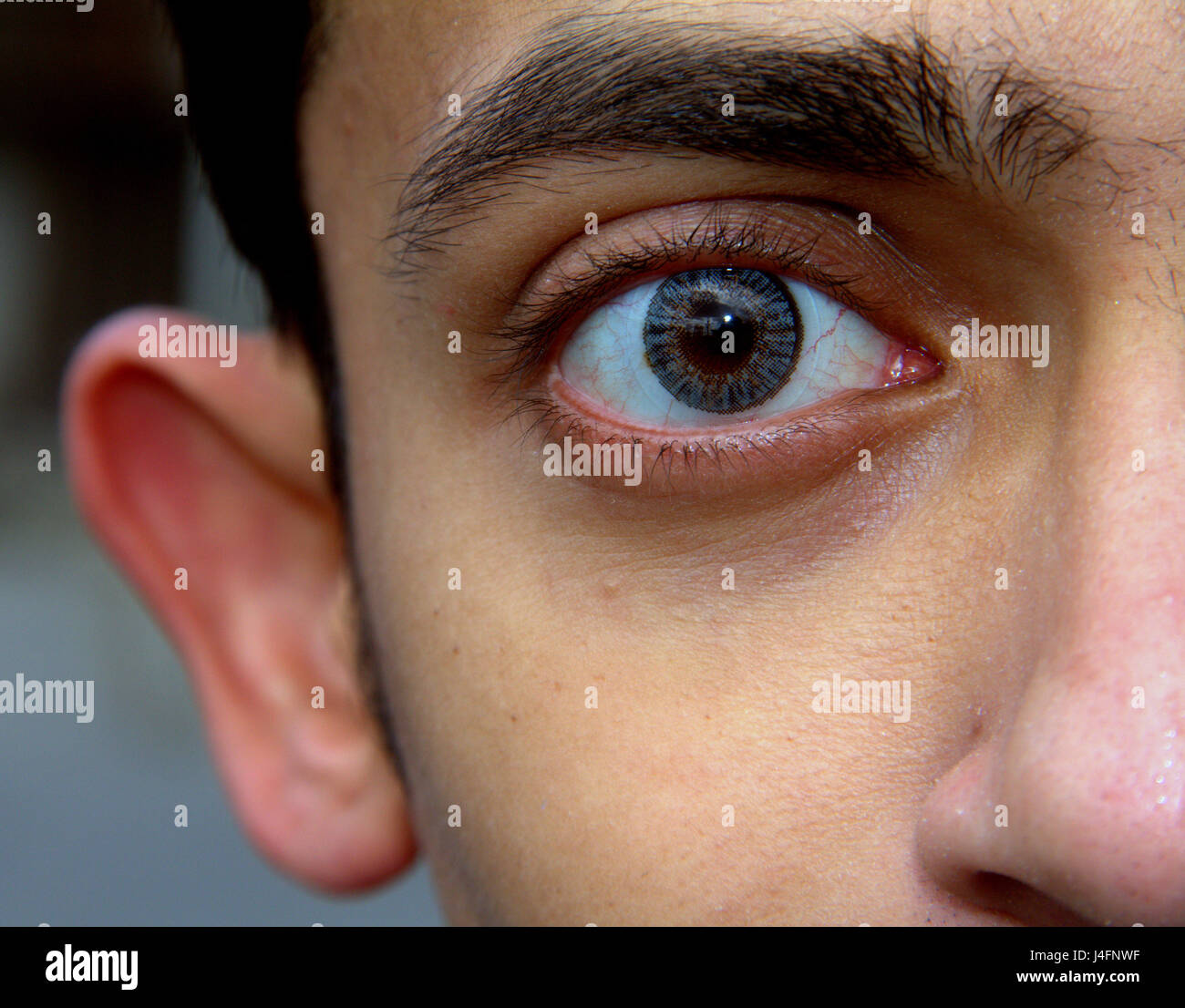 Indian macro lens hi-res stock photography and images - Alamy
