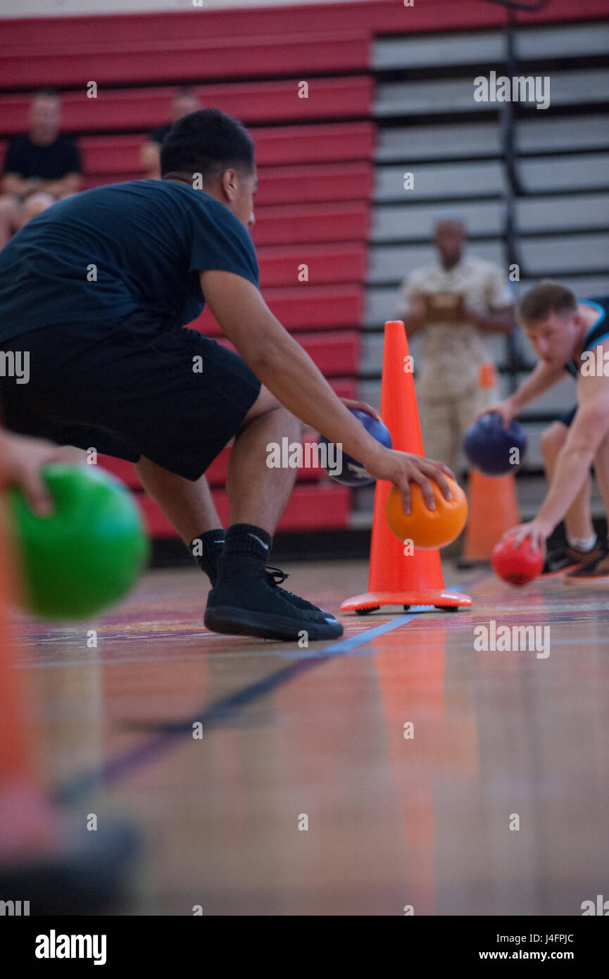 The Combined Federal Campaign (CFC) Ultimate Dodgeball Tournament is ...