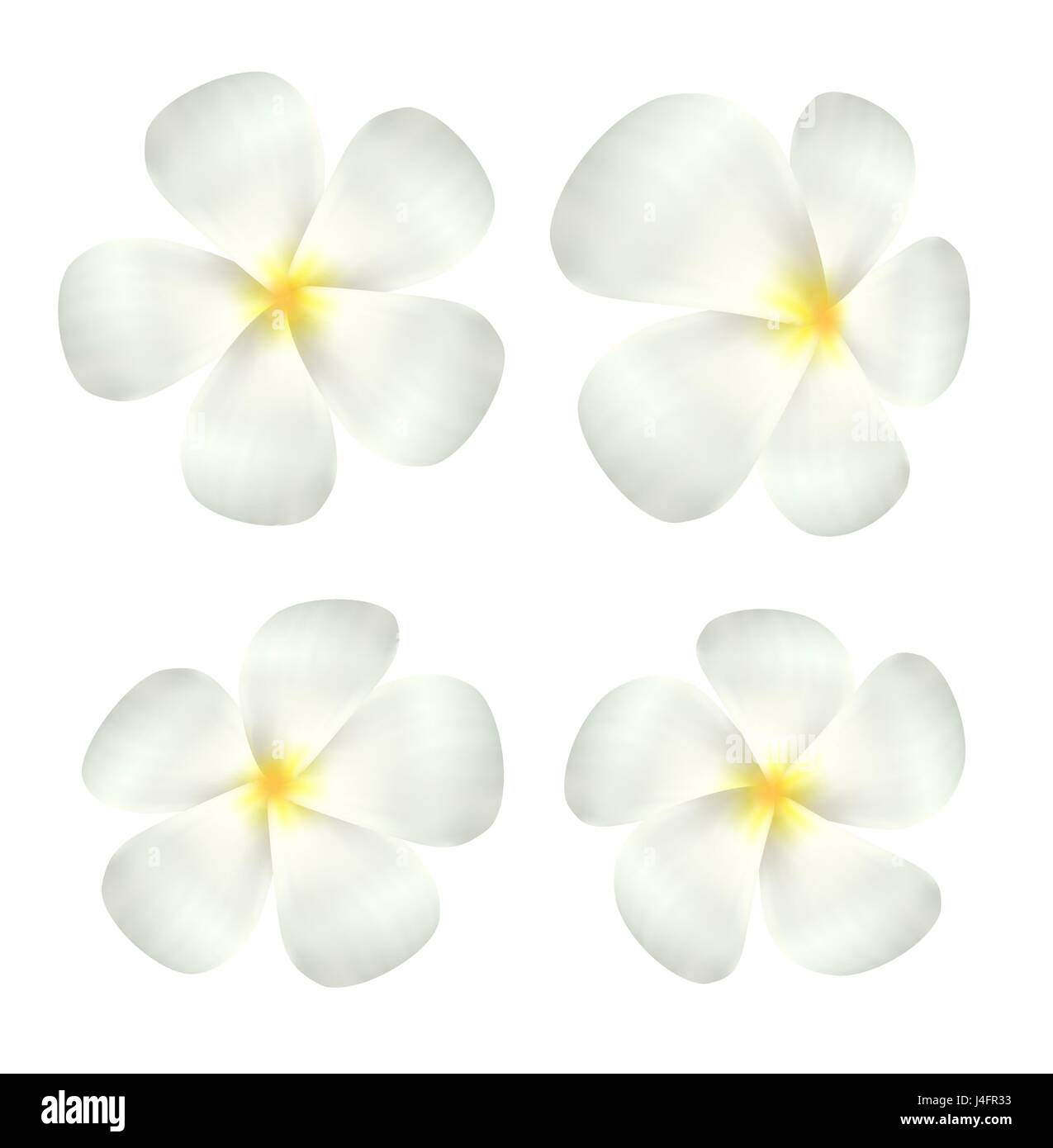 Spring frangipani flowers set Stock Vector Images - Alamy