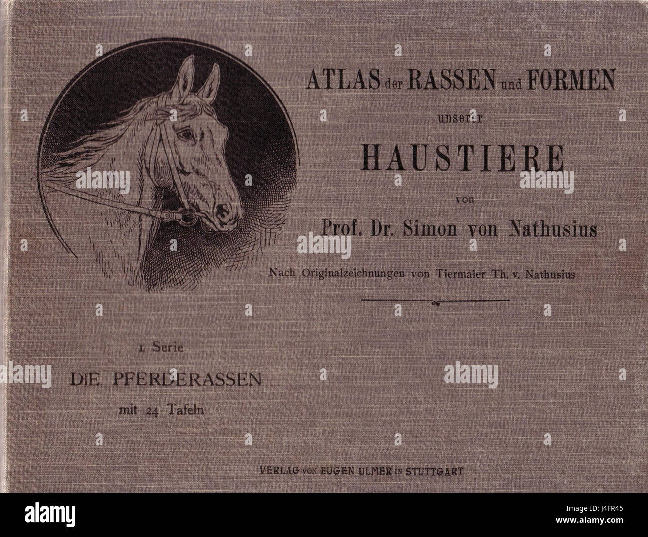 Simon vN, Atlas Stock Photo - Alamy