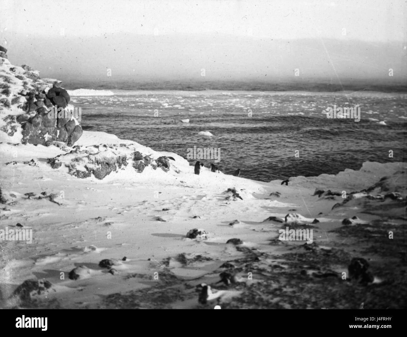 This image refers to the expedition of Ernest Shackleton aboard the ...