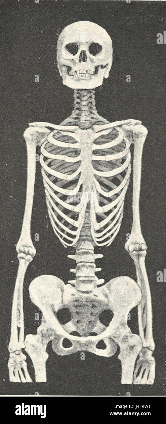 Skeleton of boiled woman Stock Photo - Alamy