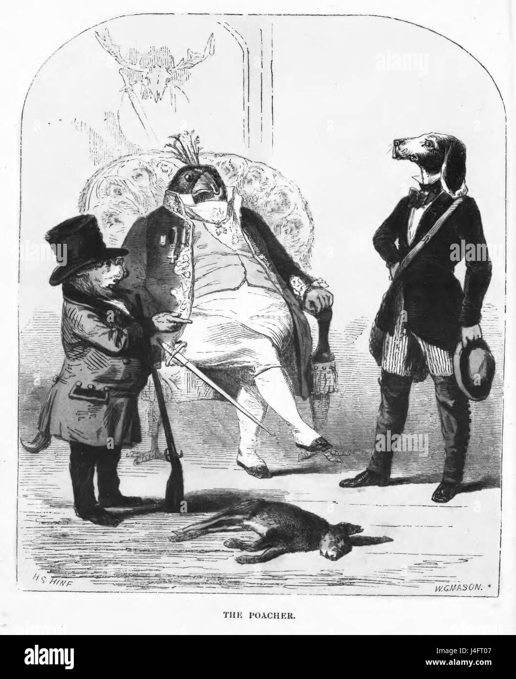 Sir Vane Peacock is a species of peacock known for its distinctive and ...