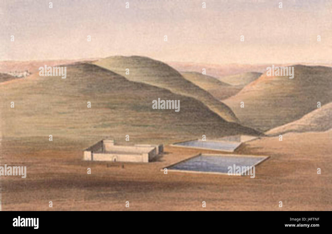 Solomon’s pools hi-res stock photography and images - Alamy