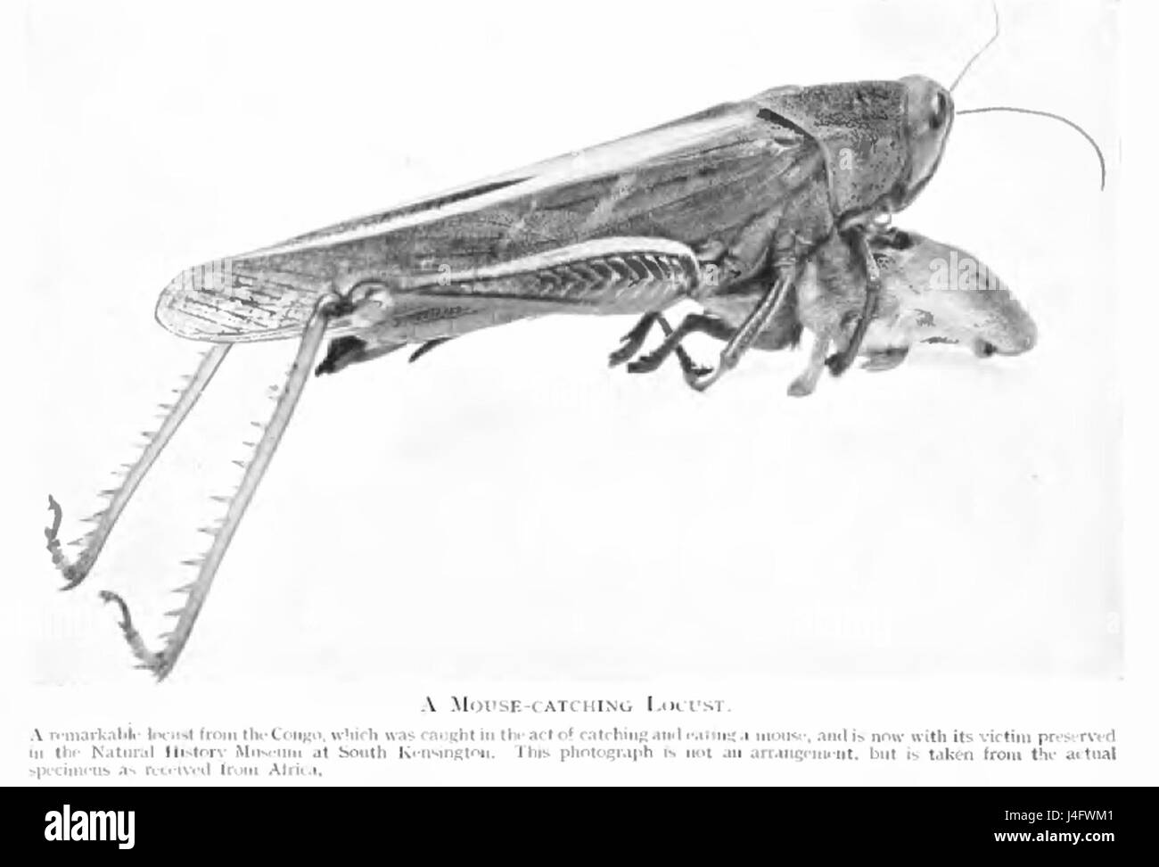 Tracking program Cut Out Stock Images & Pictures - Alamy