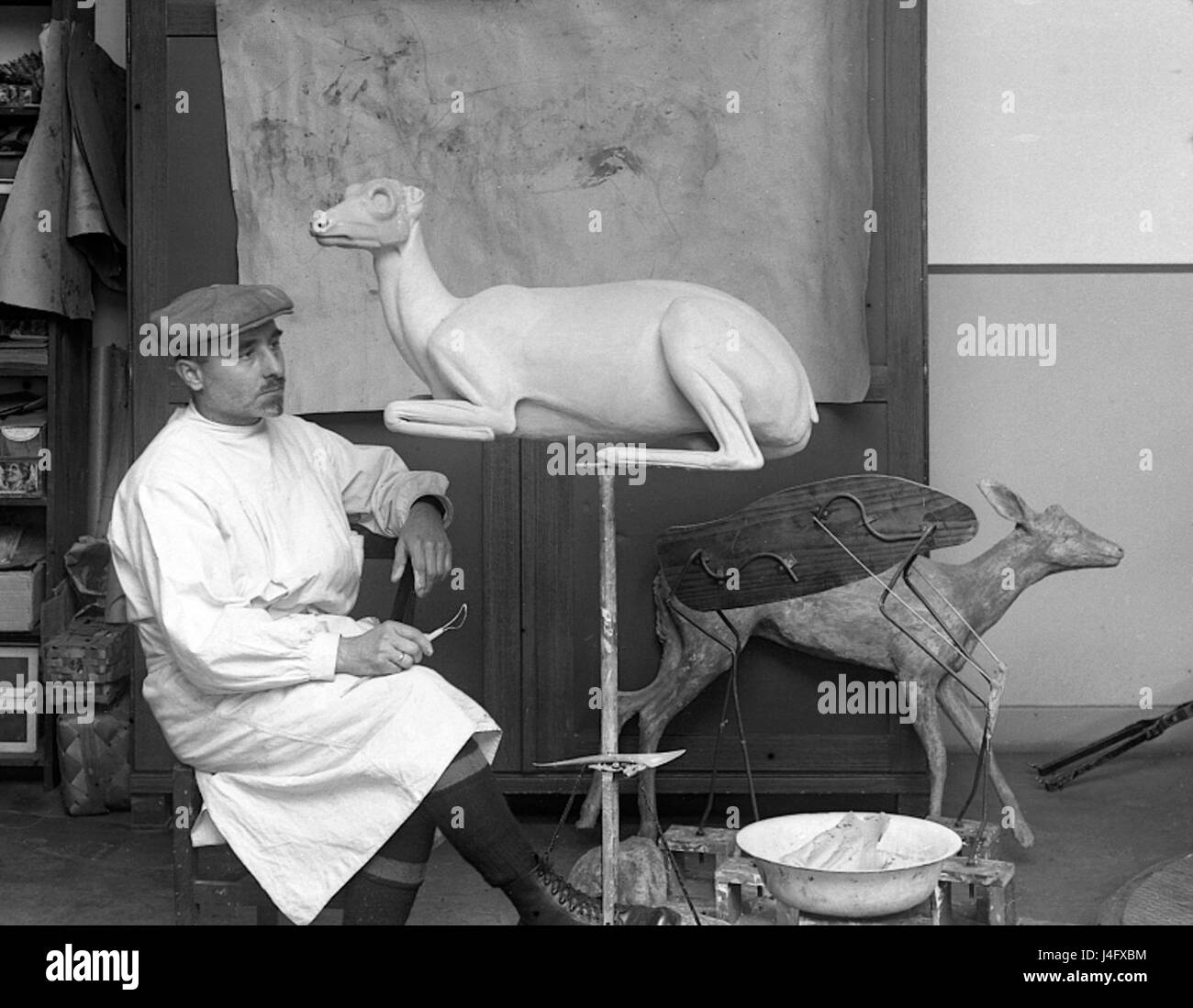 This image showcases a taxidermy exhibit, highlighting the preservation ...