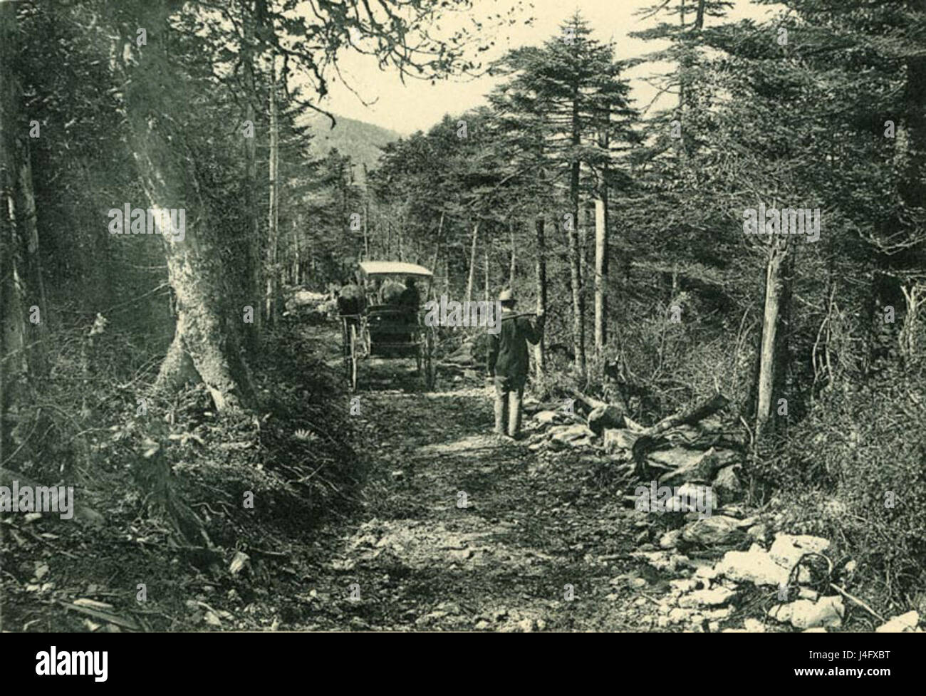 This image refers to a photographic work by Stoddard, a prominent ...
