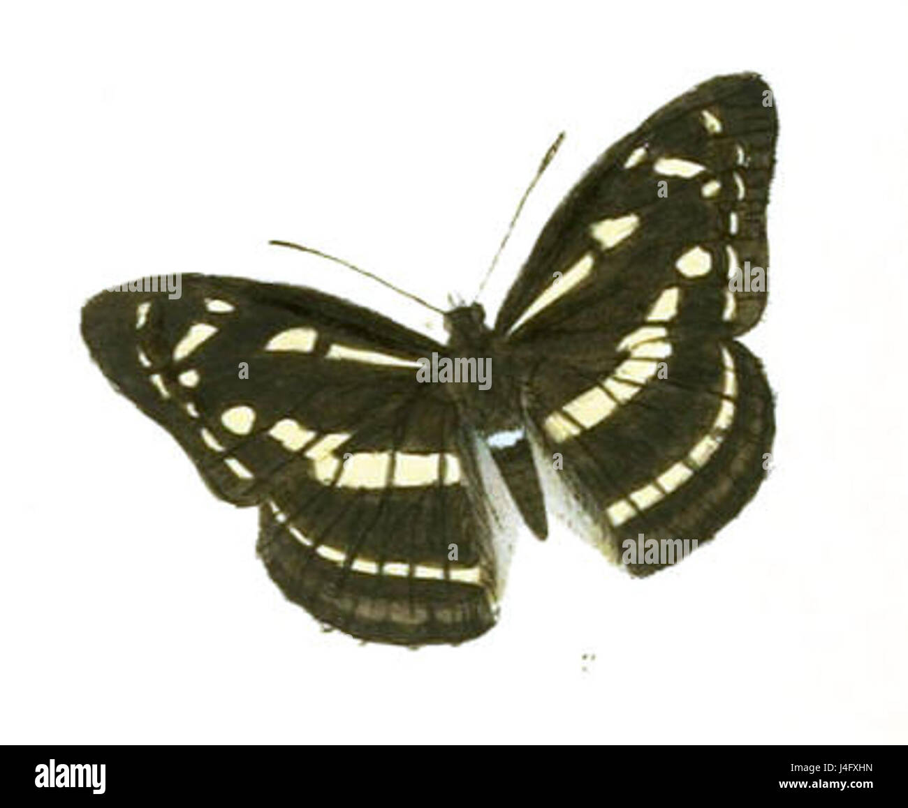 Engaging visual complexity hi-res stock photography and images - Alamy