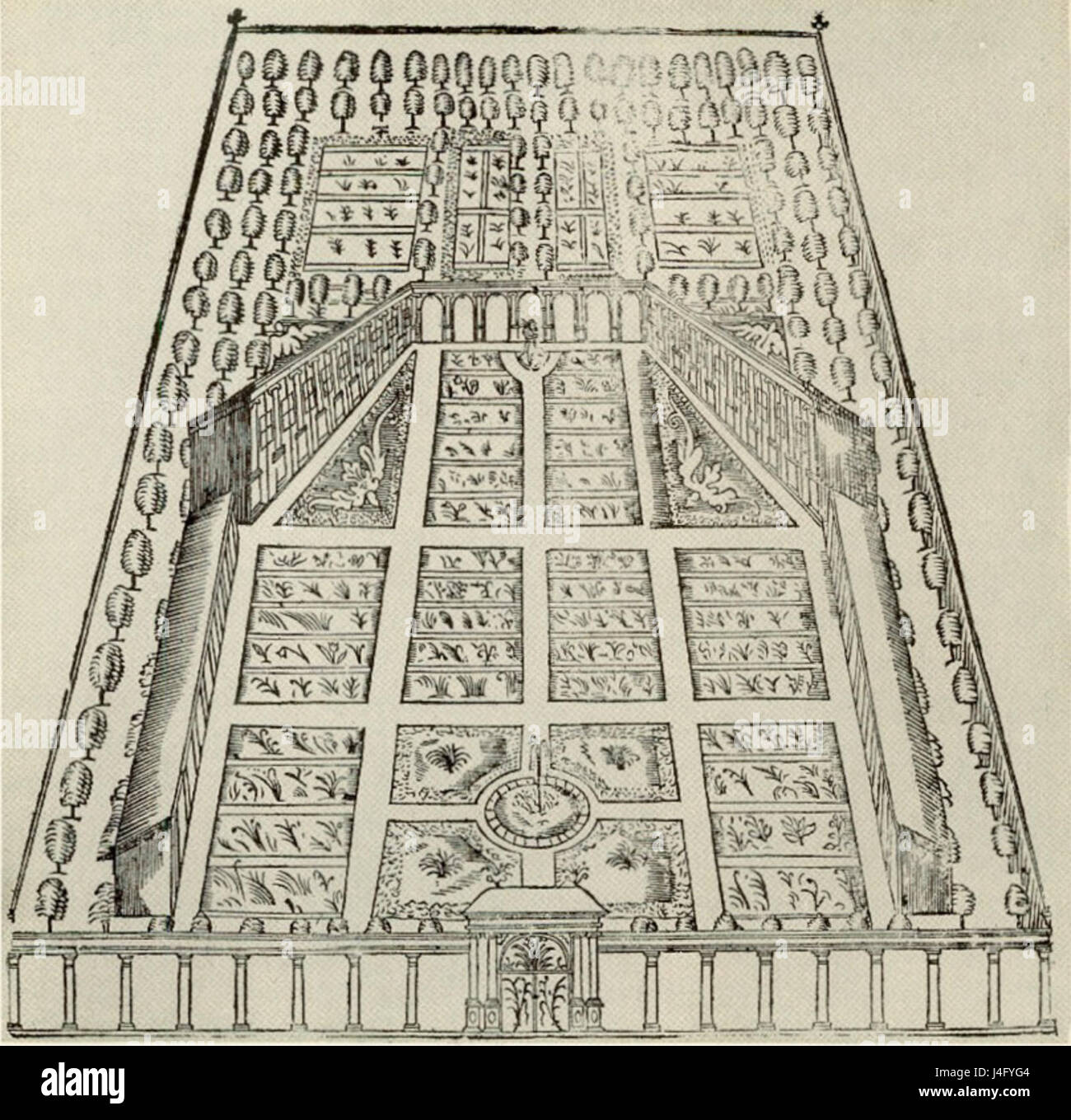 Rudbeck hi-res stock photography and images - Alamy